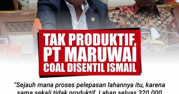 Tak Produktif, PT Maruwai Coal Disentil Ismail Thomas