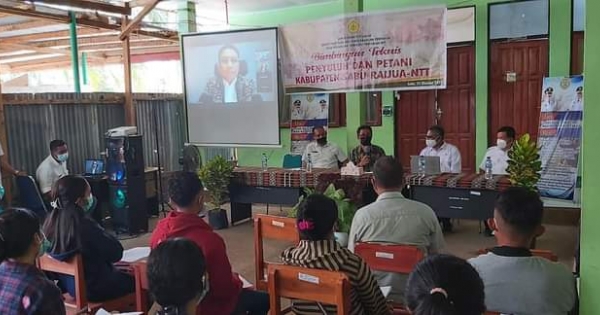 Ansy Gelar Bimtek Bagi Petani Sabu Raijua Ansy Gelar Bimtek Bagi Petani Sabu Raijua