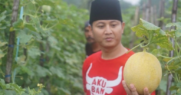 Banteng Trenggalek Inisiasi Pembuatan Demplot Pertanian