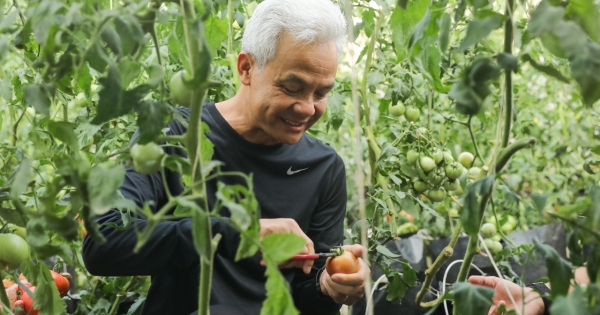 Mak Ganjar Gelar Penyuluhan Pembuatan Pupuk Organik di Dusun Genang