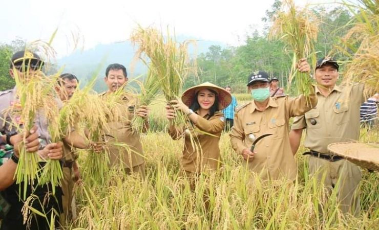 Penyuluh Pertanian Diminta Beri Pendampingan Optimal